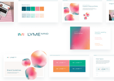 LymeMIND Case Study - Indicius Design Agency